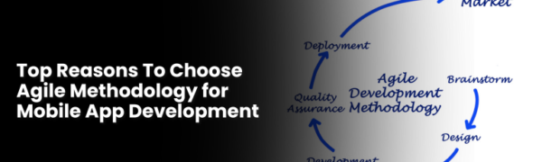 Top Reasons To Choose Agile Methodology For Mobile App Development